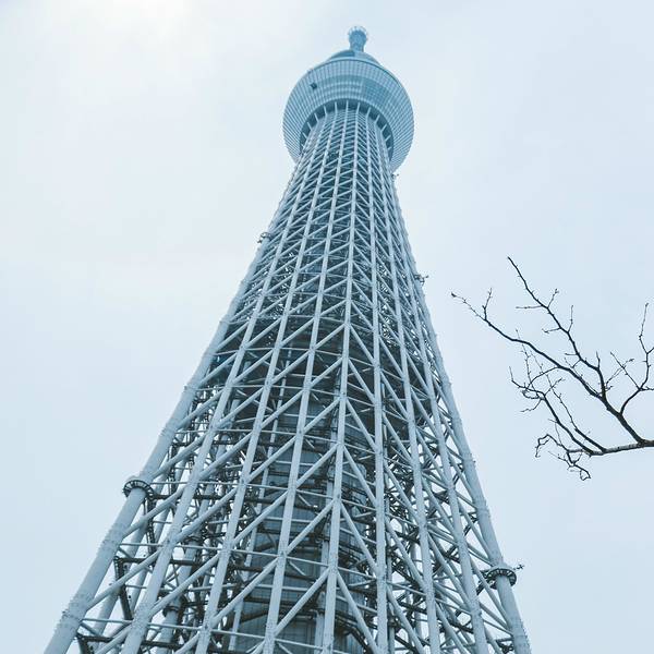 2024东京晴空塔门票,东京东京晴空塔游玩攻略,东京晴空塔游览攻略路线/地址/门票价格-【去哪儿攻略】