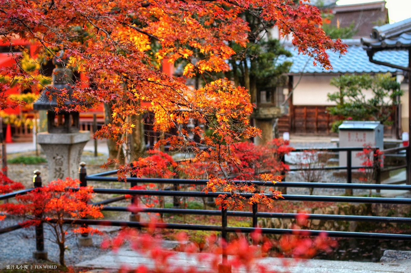 秋の霓虹枫叶季，东瀛红叶狩【蜜汁儿小酱Fun世界】京都赏枫· 附拍照Tips-京都旅游攻略-游记-去哪儿攻略