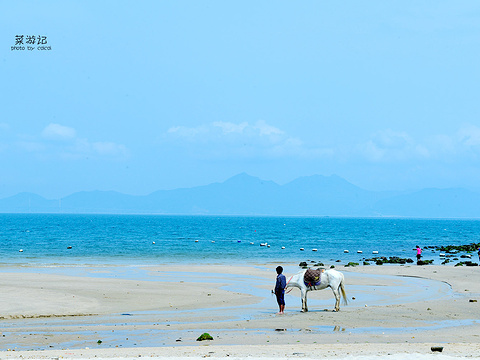2025大亚湾-旅游攻略-门票-地址-问答-游记点评，惠州旅游旅游景点推荐-去哪儿攻略
