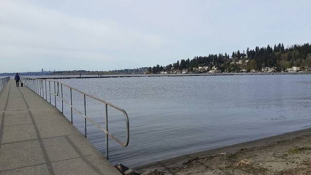 2024Juanita Beach Park门票,柯克兰Juanita Beach Park游玩攻略,Juanita Beach Park游览 ...