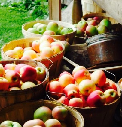 2022Hurd Orchards攻略,霍利Hurd Orchards美食推荐,点评/电话/地址-【去哪儿攻略】