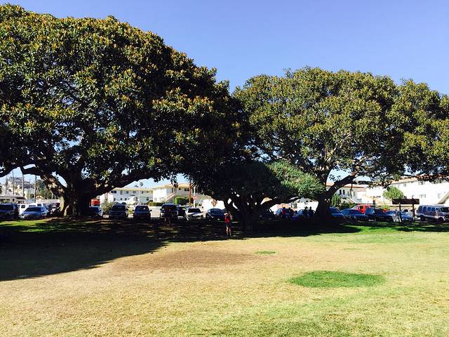 2025Point Fermin Park门票,洛杉矶Point Fermin Park游玩攻略,Point Fermin Park游览攻略 ...