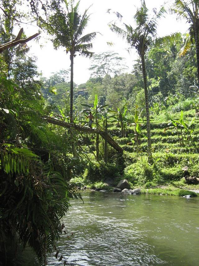 2023Bukit Gemok森林保护区门票,TongodBukit Gemok森林保护区游玩攻略,Bukit Gemok森林保护区游览攻略 ...