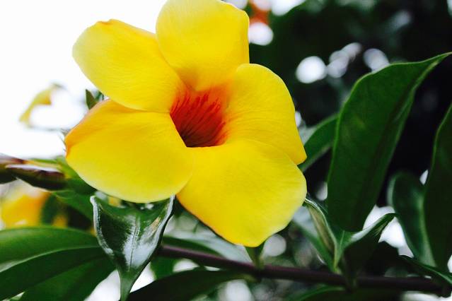 2023Hana Maui Botanical Gardens门票,哈纳Hana Maui Botanical Gardens游玩攻略 ...