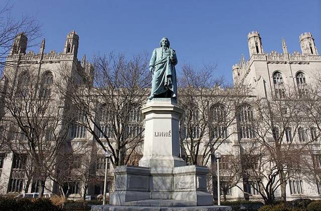 2019芝加哥大学门票,芝加哥芝加哥大学游玩攻略,芝加哥大学游览攻略路线/地址/门票价格-【去哪儿攻略】