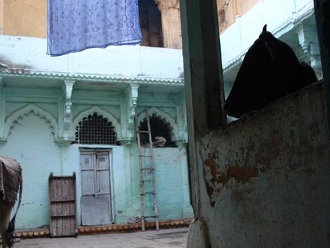 2024Ramar Temple-旅游攻略-门票-地址-问答-游记点评，哥印拜陀旅游旅游景点推荐-去哪儿攻略