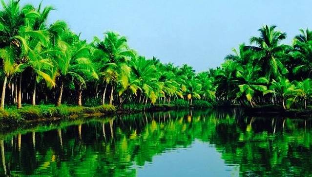 2025Oottupura攻略,莱斯特Oottupura美食推荐,点评/电话/地址-【去哪儿攻略】