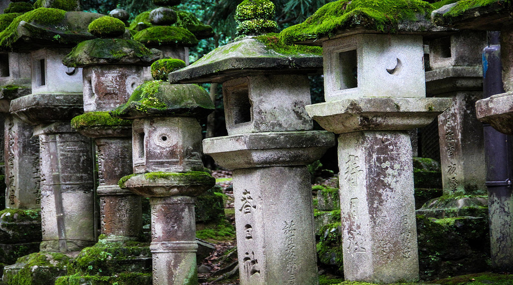 shabi-奈良旅游攻略-游记-去哪儿攻略