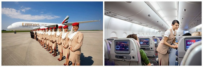 ek303经济舱的座位图,济舱座位号图片,济舱座位分布图(第4页)_大山谷图库